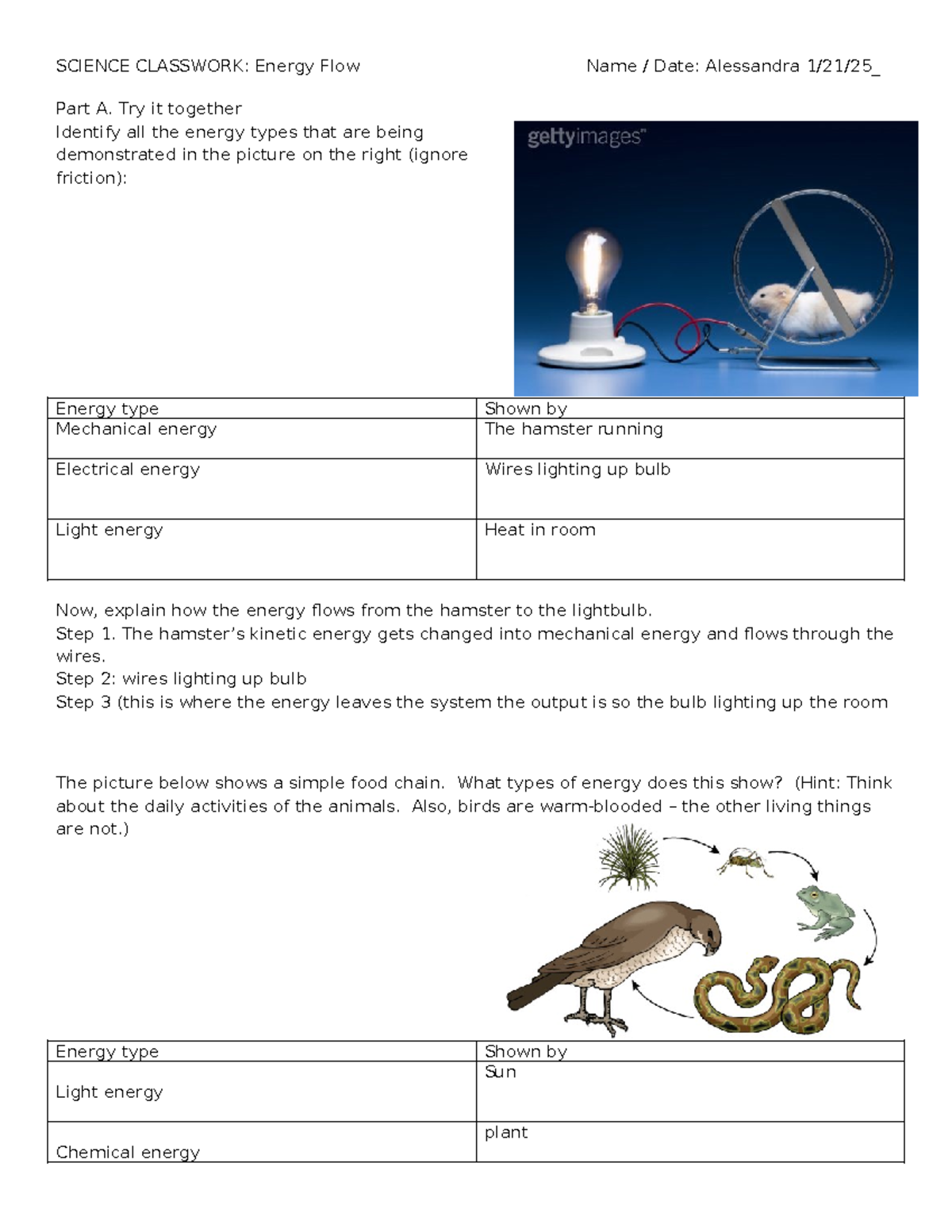 Energy Flow Practice 1 - for schoo work - SCIENCE CLASSWORK: Energy ...