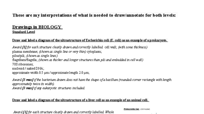 All Drawings - Biology SL & HL Diagrams and Annotations - Studocu