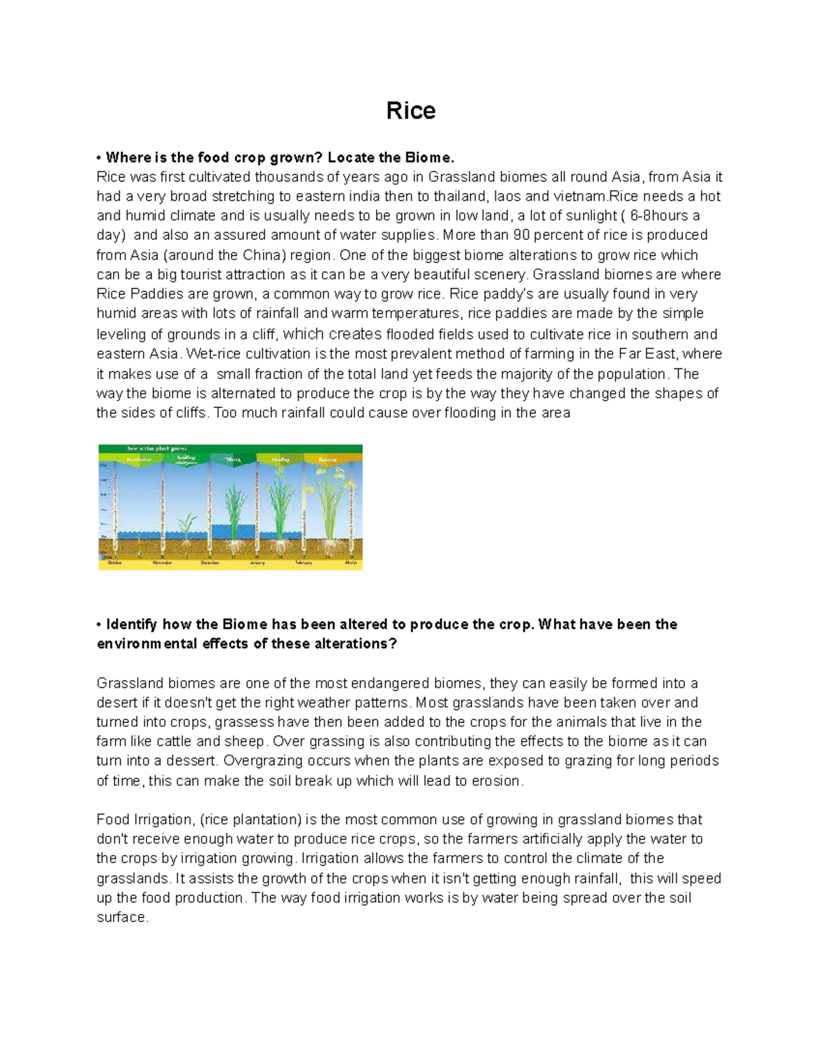 Geography - GEO NOTES on rice crops - Rice Where is the food crop grown ...