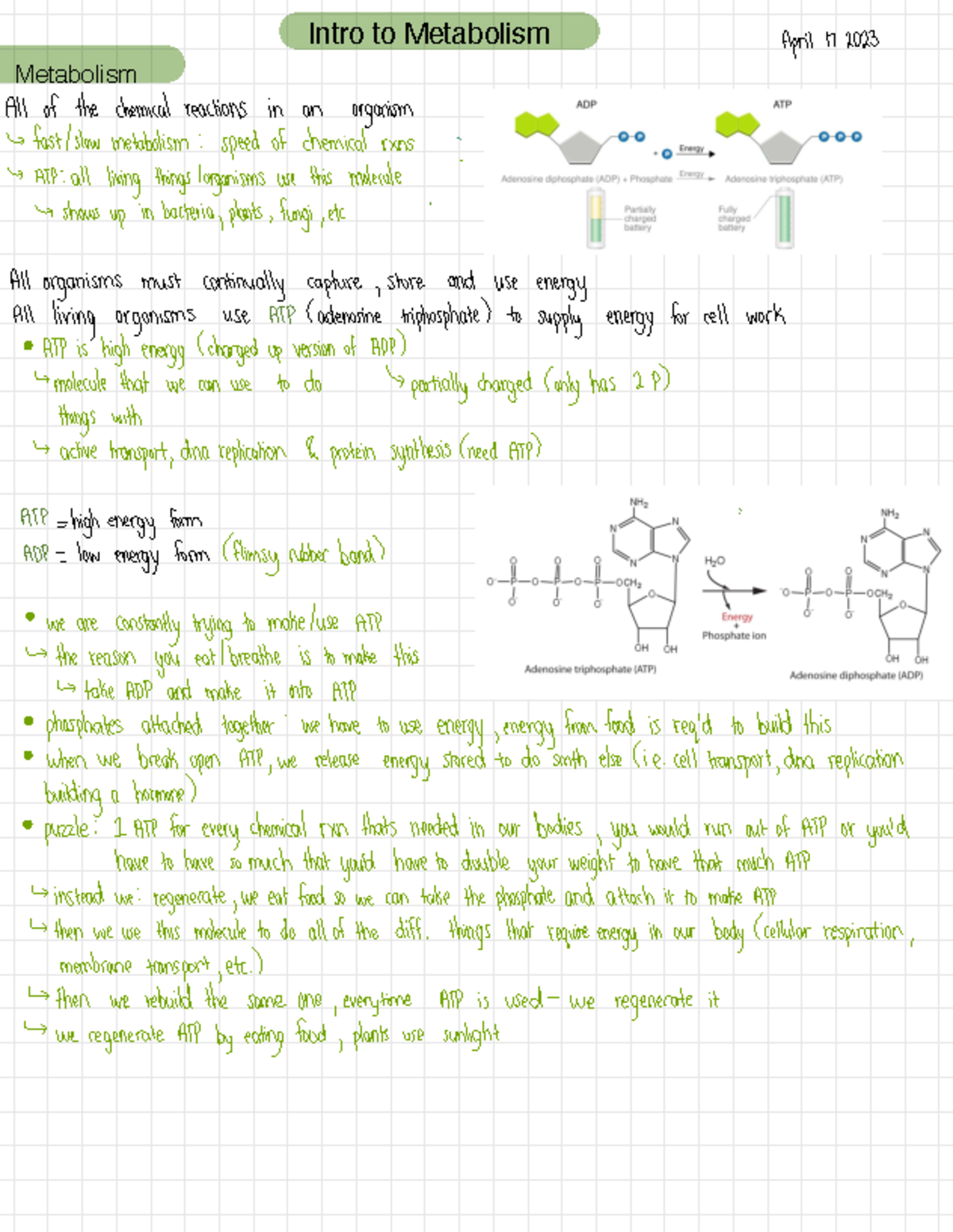 metabolism notes - Intro to Metabolism Metabolism April 17 2023 All of ...