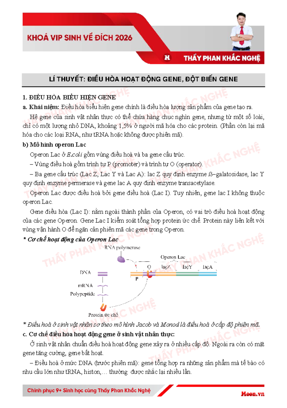 LÍ THUYẾT: ĐIỀU HÒA VÀ ĐỘT BIẾN GENE - TỔNG QUAN CHO MÔN SINH 101 - Studocu