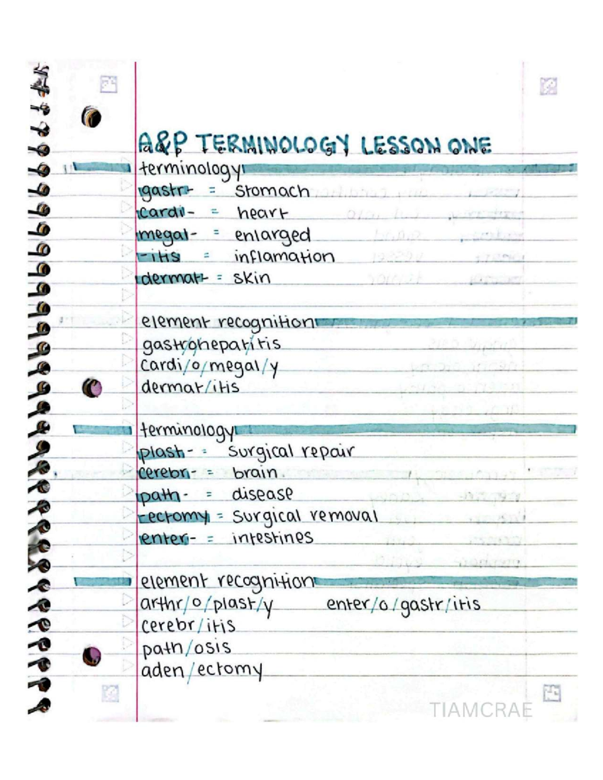 A&P Terminology - Old Dean Vaughn notes that go over common medical ...