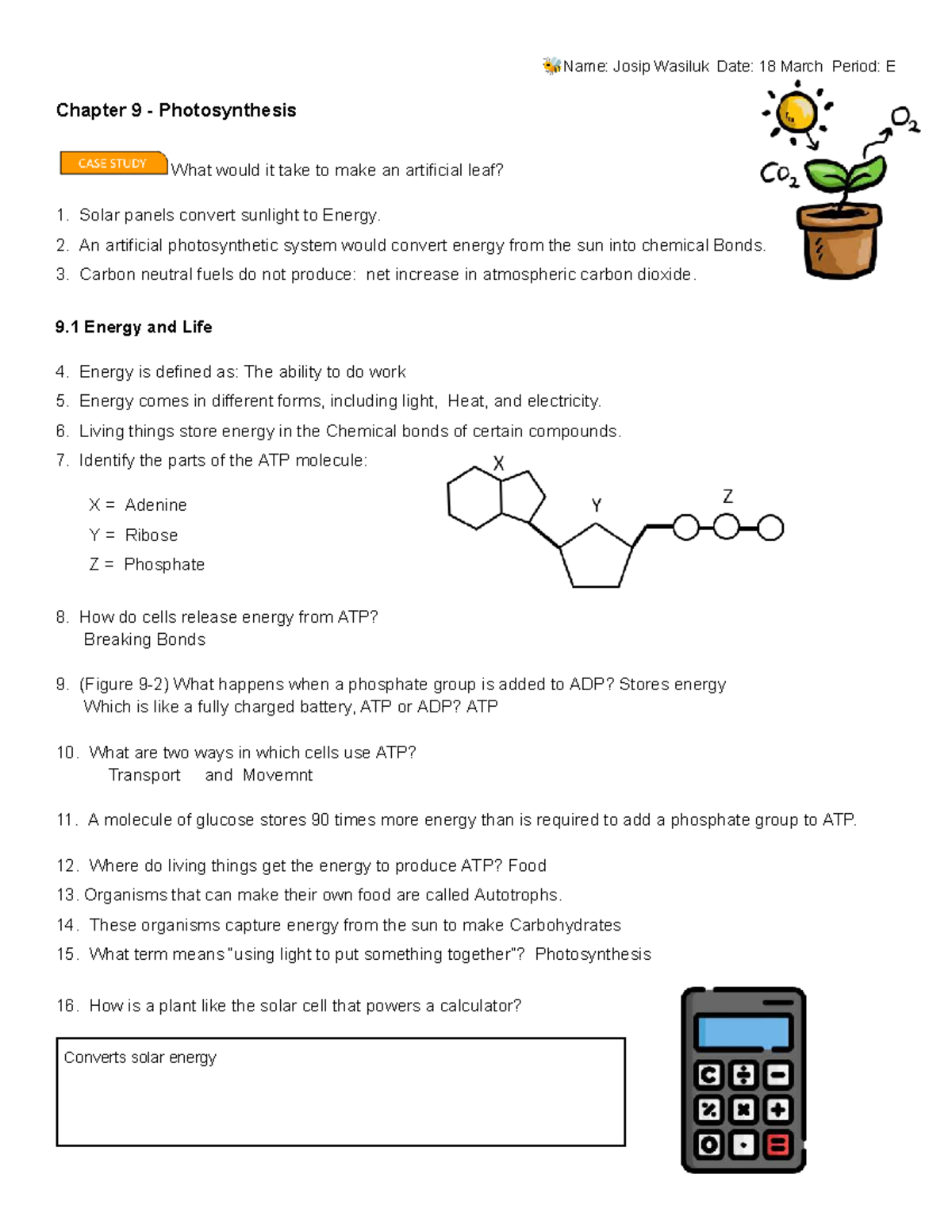 Ch 09 Reading Guide - Photosynthesis: Artificial Leaf Insights - Studocu
