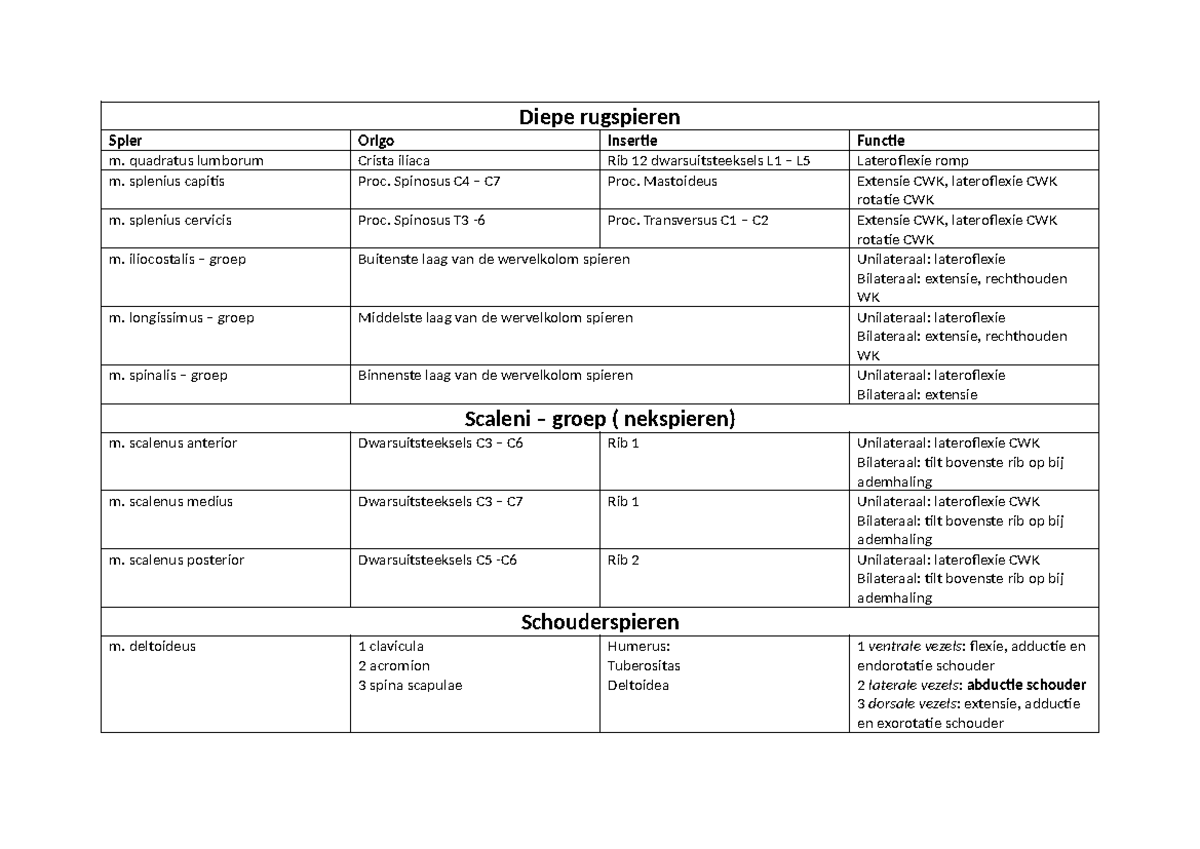 Diepe rug- en schouderspieren: Anatomie en Functies voor Kinesiologie ...