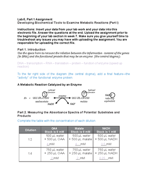 Lab Report I - Investigating Stomata Structure, Function, and Density ...