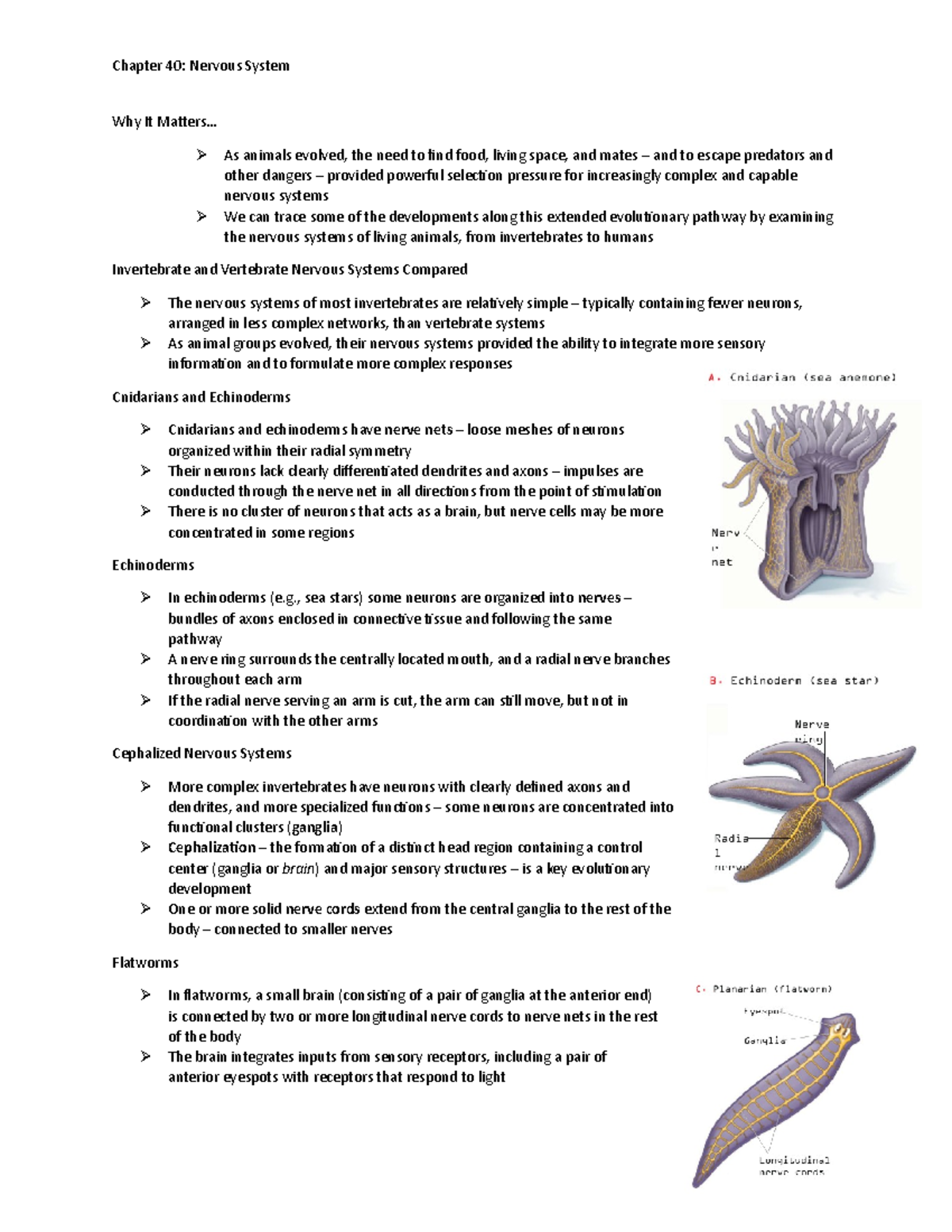 Chapter 40 BIOL 2 - Why It Matters... As animals evolved, the need to ...