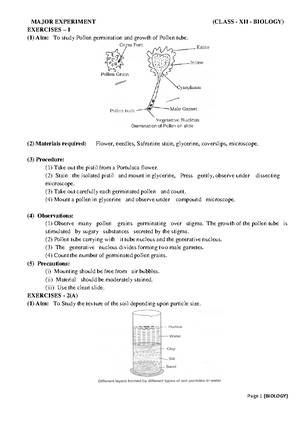Botany Med Easy by Vipin Sir - Biology Class 12 - BOTANY MED EASY BY DR ...