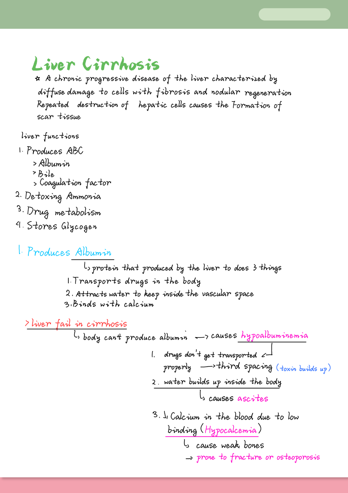 Liver Cirrhosis Overview: Pathophysiology & Complications (2025) - Studocu