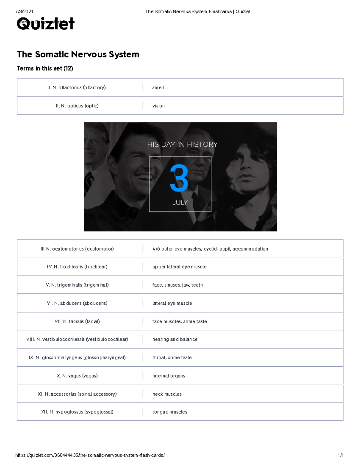 The Somatic Nervous System Flashcards Quizlet - N. olfactorius ...