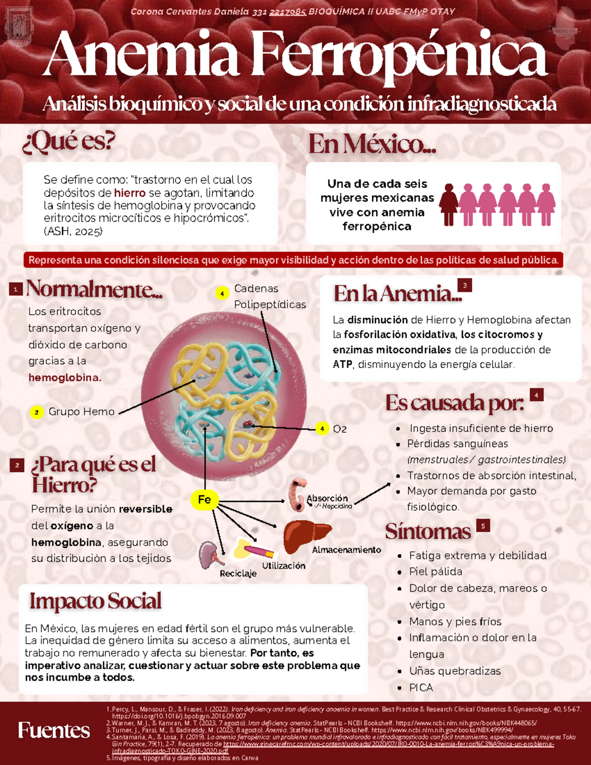 Anemia Ferropénica: Análisis Bioquímico y Social (BIOQUÍMICA II) - Studocu