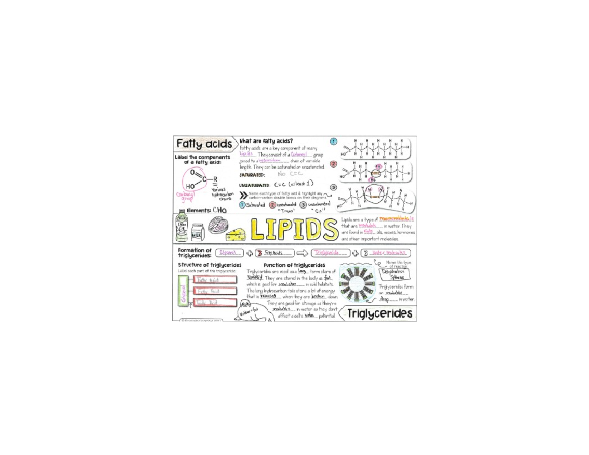 Lipid Biochemistry (BIO 101): Overview of Fatty Acids and Triglycerides ...