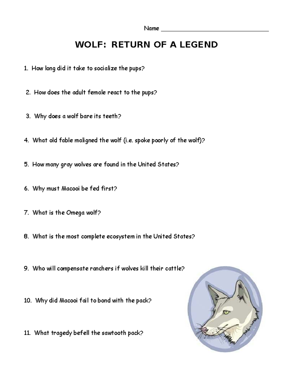 WOLF: RETURN OF A LEGEND - Key Questions & Insights - Studocu