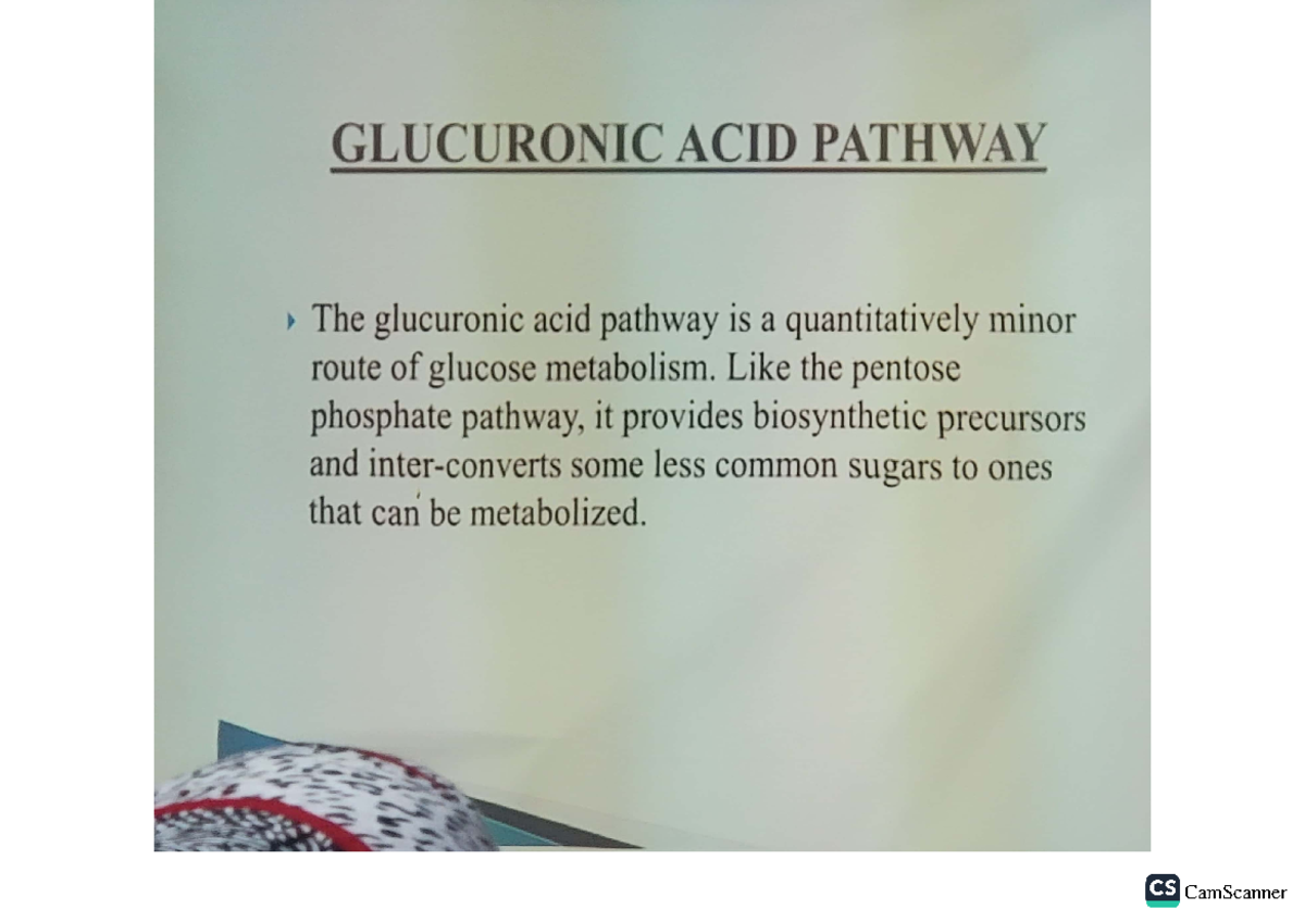 Glucuronicuronic acid pathway git biochem nosheen - GLUCURONIC ACID ...