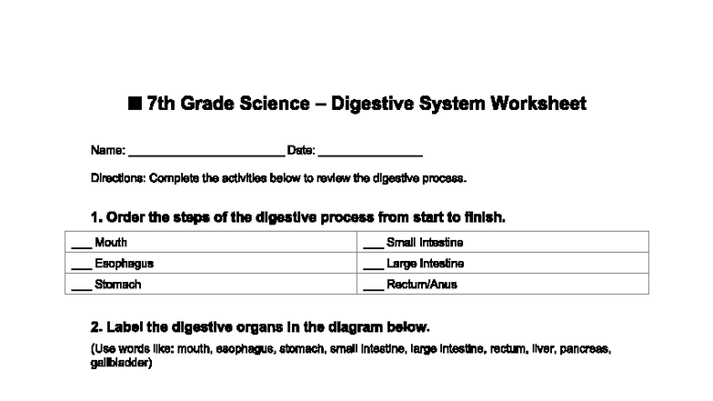 7th Grade Science: Digestive System Worksheet Review - Studocu