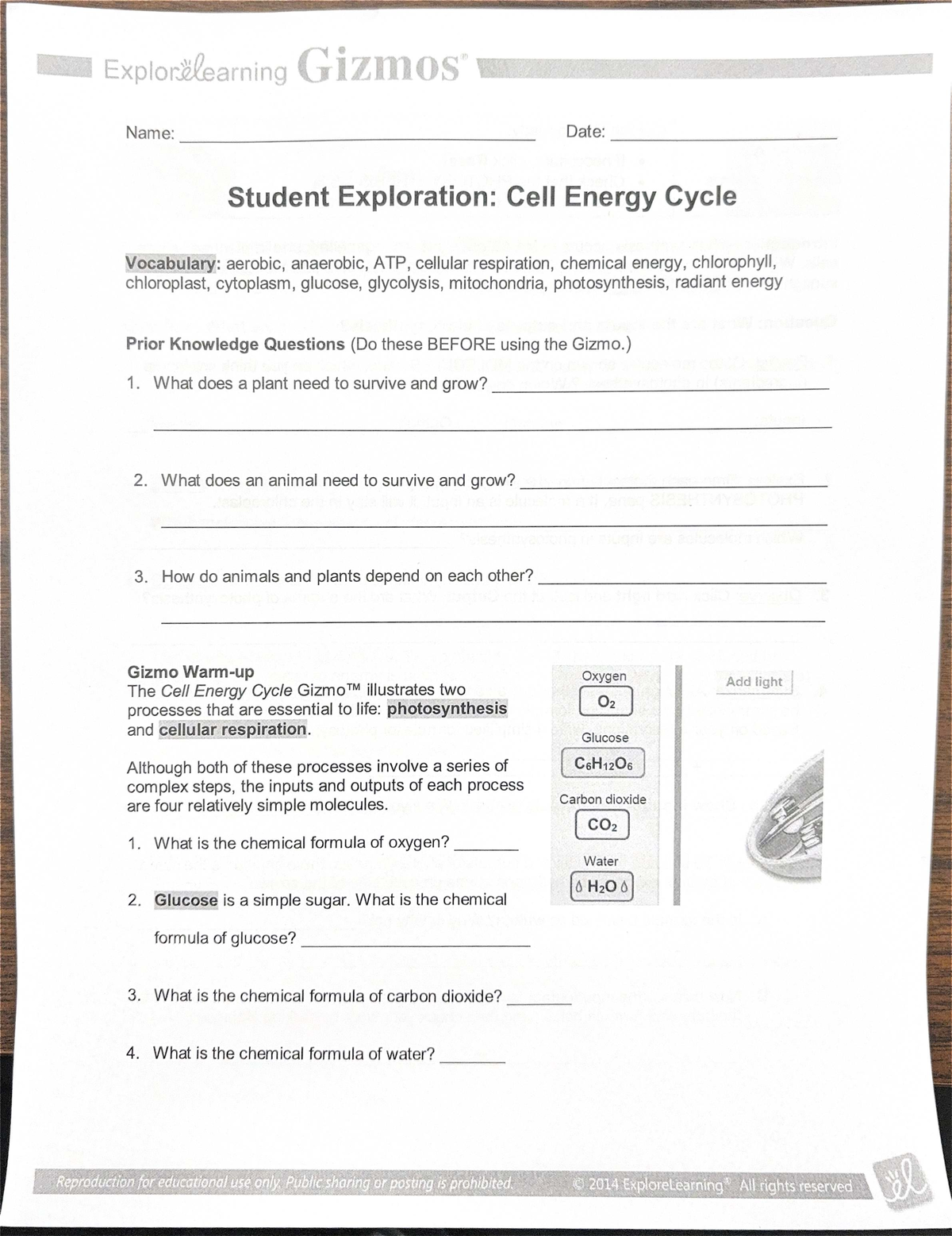 Student Exploration: Cell Energy Cycle (Biology 101) - Vocabulary ...