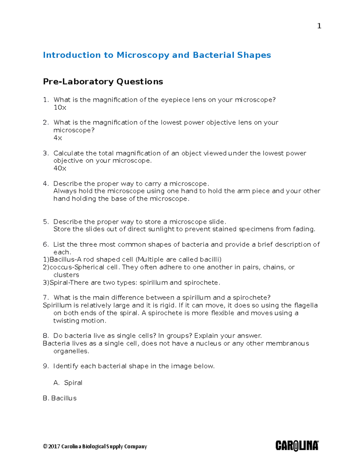 Lab with microscope-Intro to Microscopy and Bacterial Shapes answer ...
