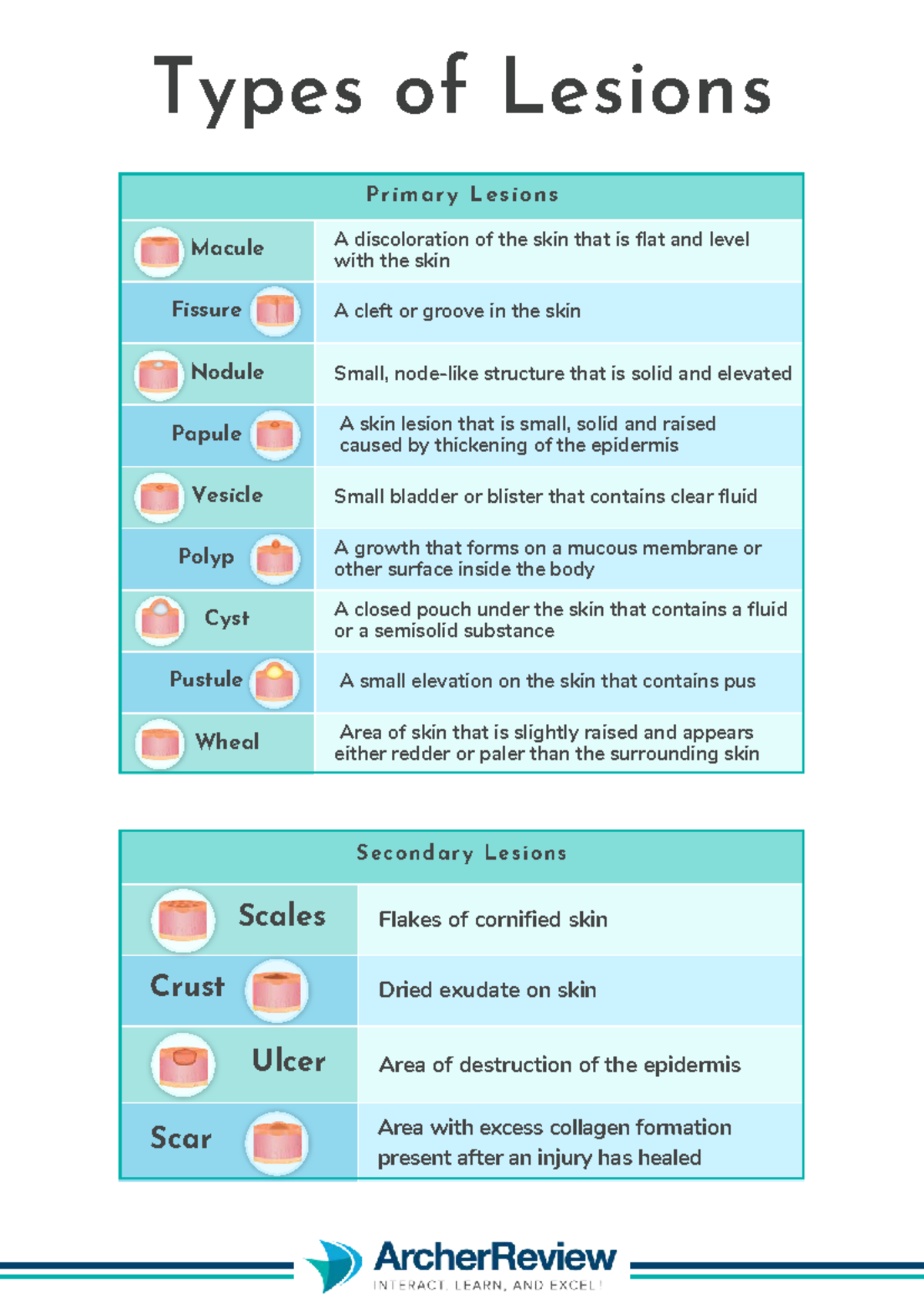 Types of Lesions Cheat Sheet: Primary & Secondary Lesions Overview ...