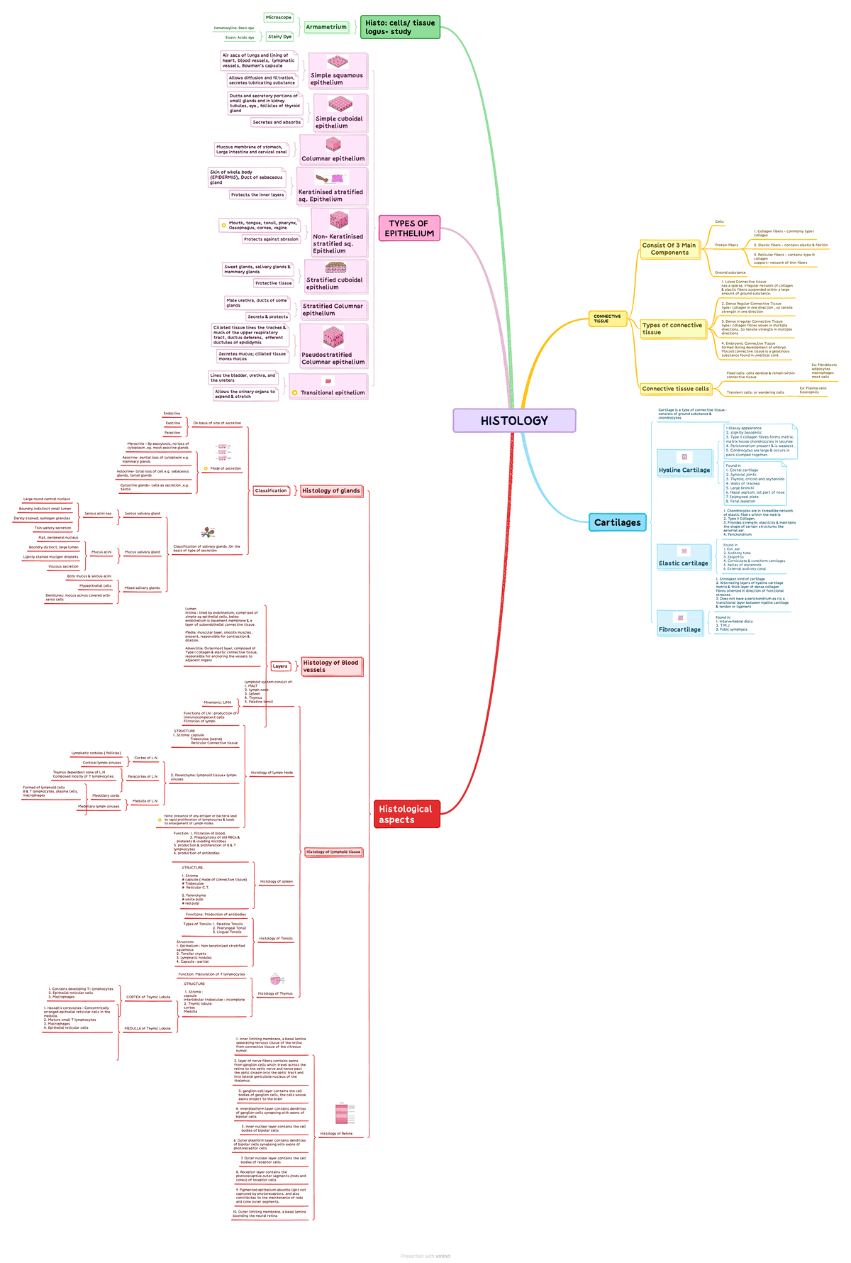 Histology 1: Comprehensive Study of Epithelial and Connective Tissues ...