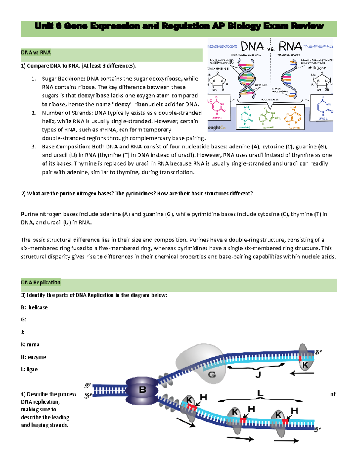 Unit 6 AP Bio Review: Gene Expression and Regulation Exam Concepts ...