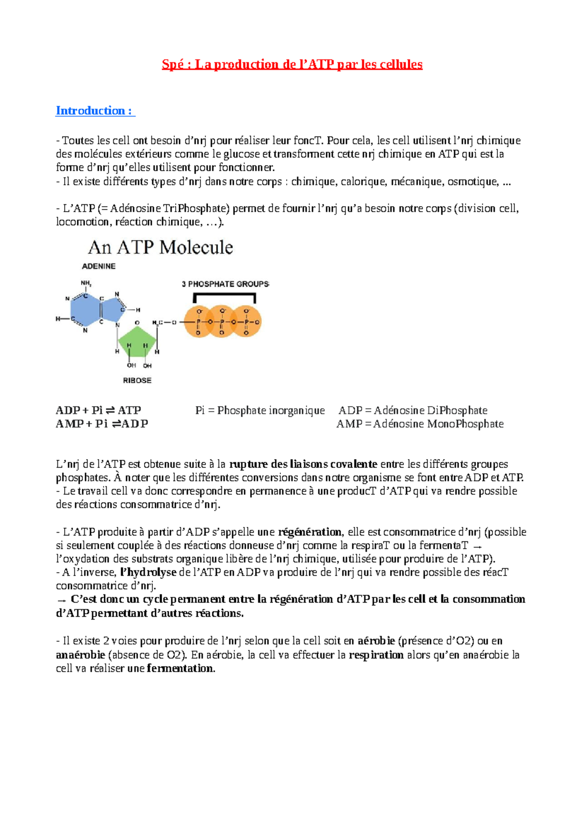 Cours, La production d'ATP par les cellules SVT - Spé : La production ...