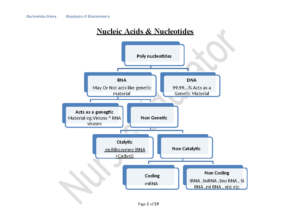 Nucleotides Notes: Biophysics & Biochemistry Overview of RNA & DNA ...