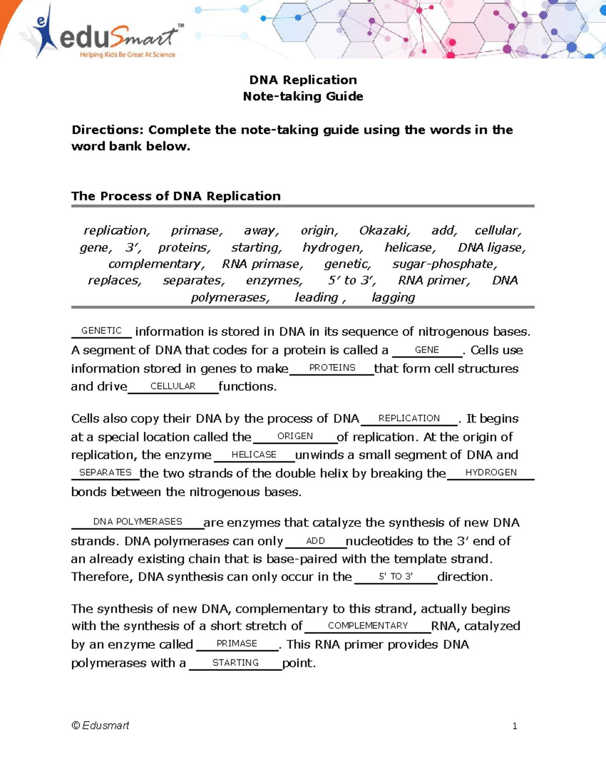 B06A2N-DNA Replication Process Guide and Overview - Studocu