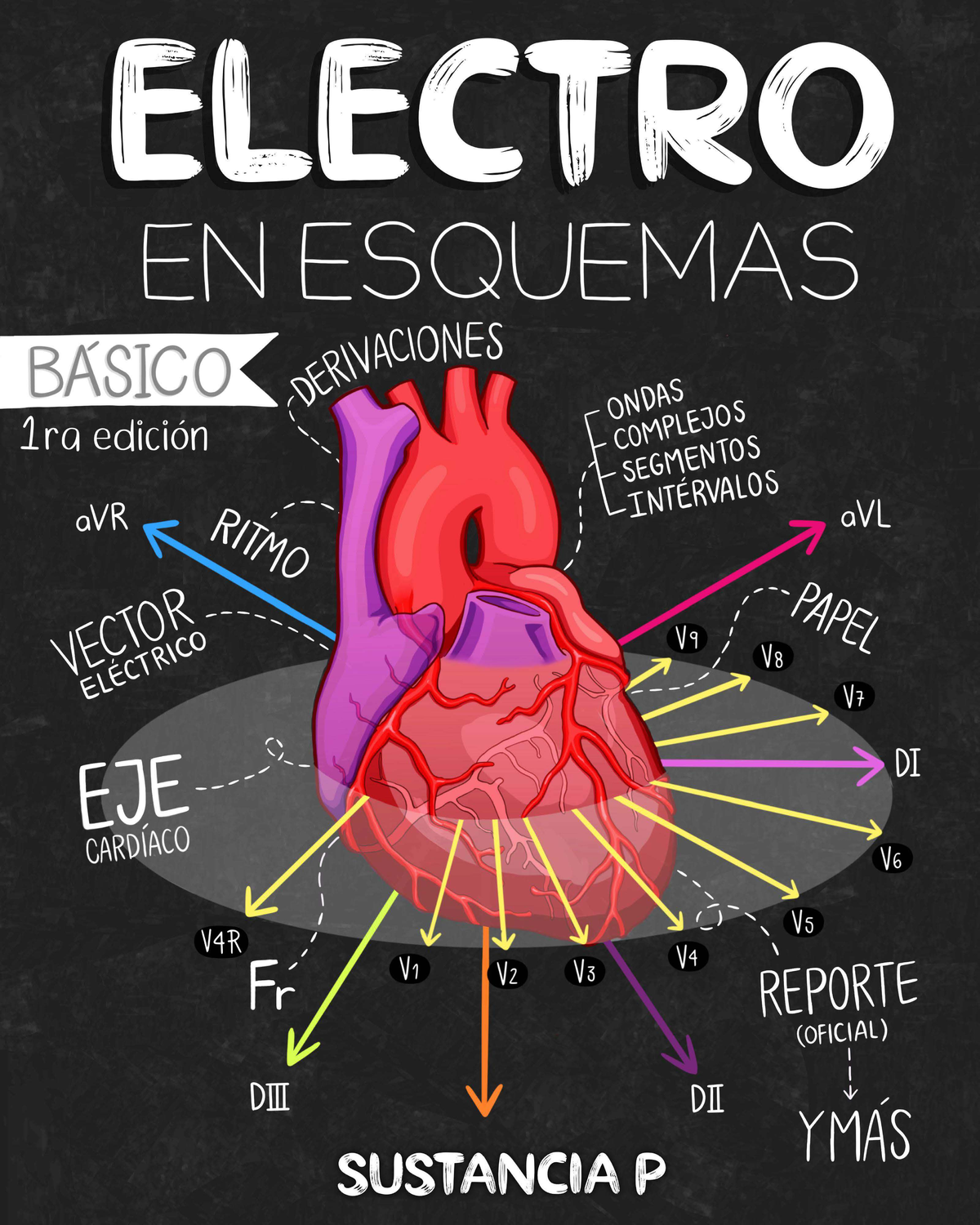 ECG y Anatomía del Corazón: Esquemas y Derivaciones (Sustancia P) - Studocu