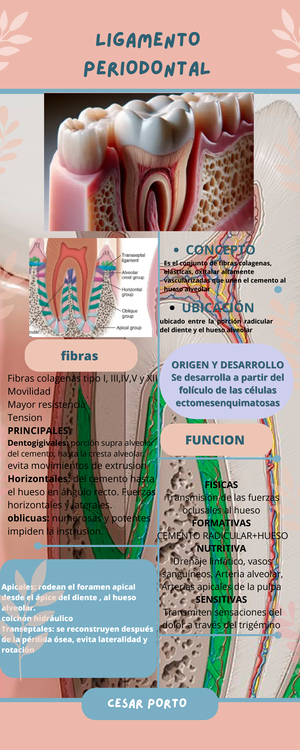Protocolo de detartraje y alisado radicular - PROTOCOLO DE RASPAJE ...