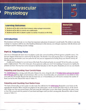 BIO 426 Lecture Notes: Blood Pressure and Blood Vessel Pathways - BIO ...