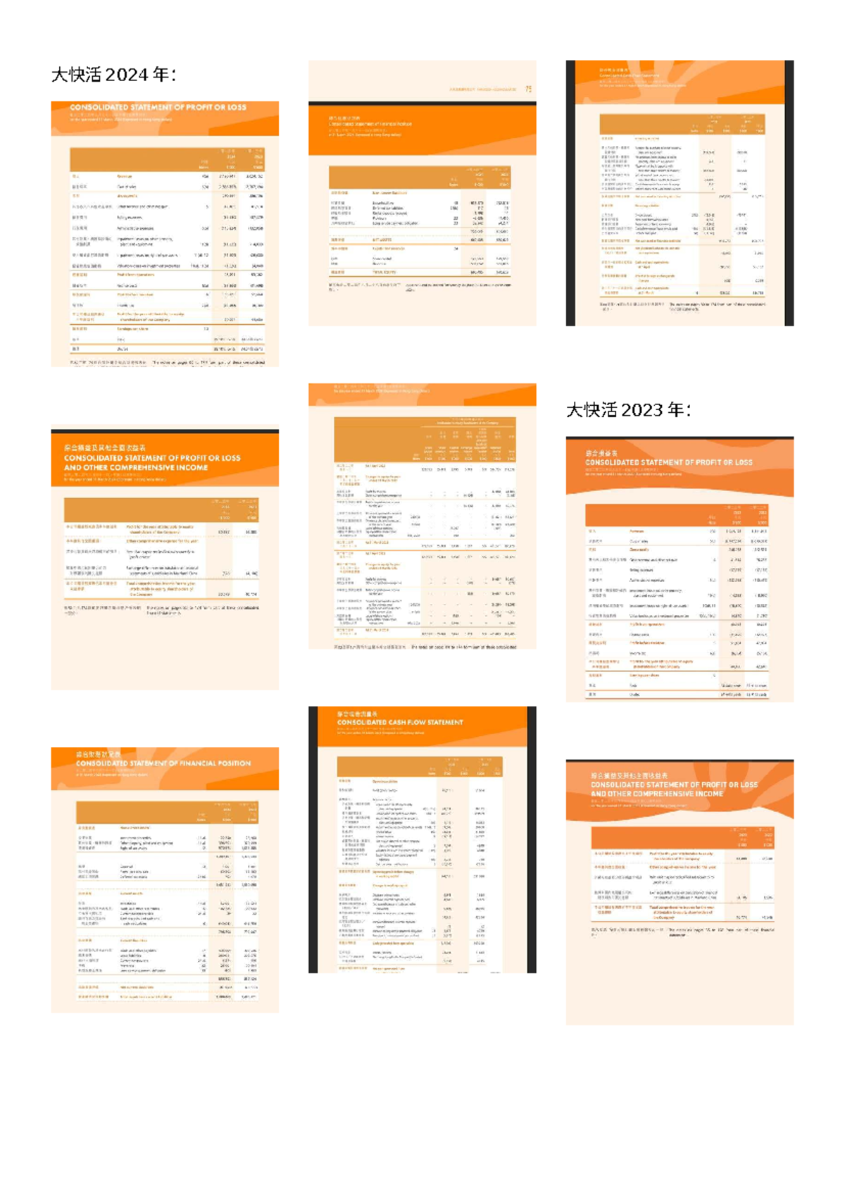 2024 CONSOLIDATED STATEMENT OF PROFIT OR LOSS AND FINANCIAL POSITION ...