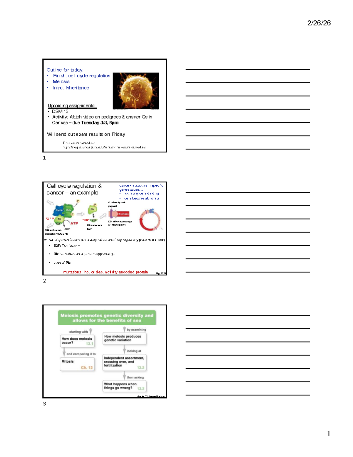 Biology 101: Lecture Notes on Meiosis and Cell Cycle - Studocu