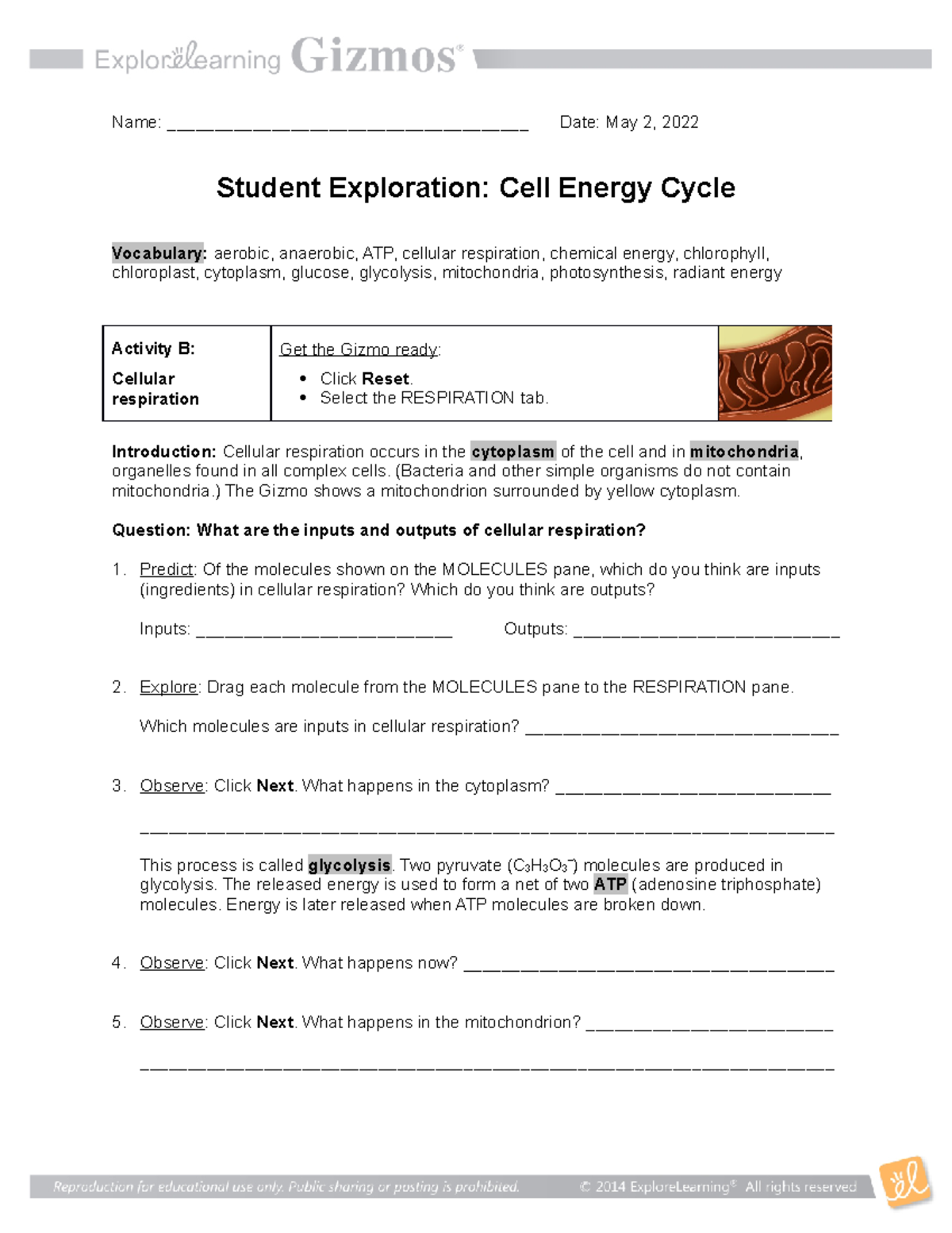 Cell Energy Respiration gizmo - Name ...