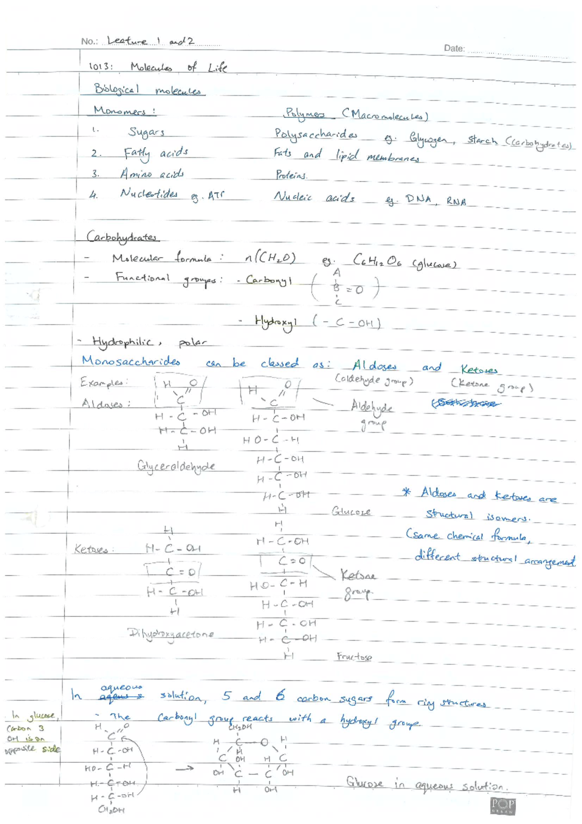 Biochemistry - Lecture notes - 4BBY1013 notes - 4BBY1013 - Studocu