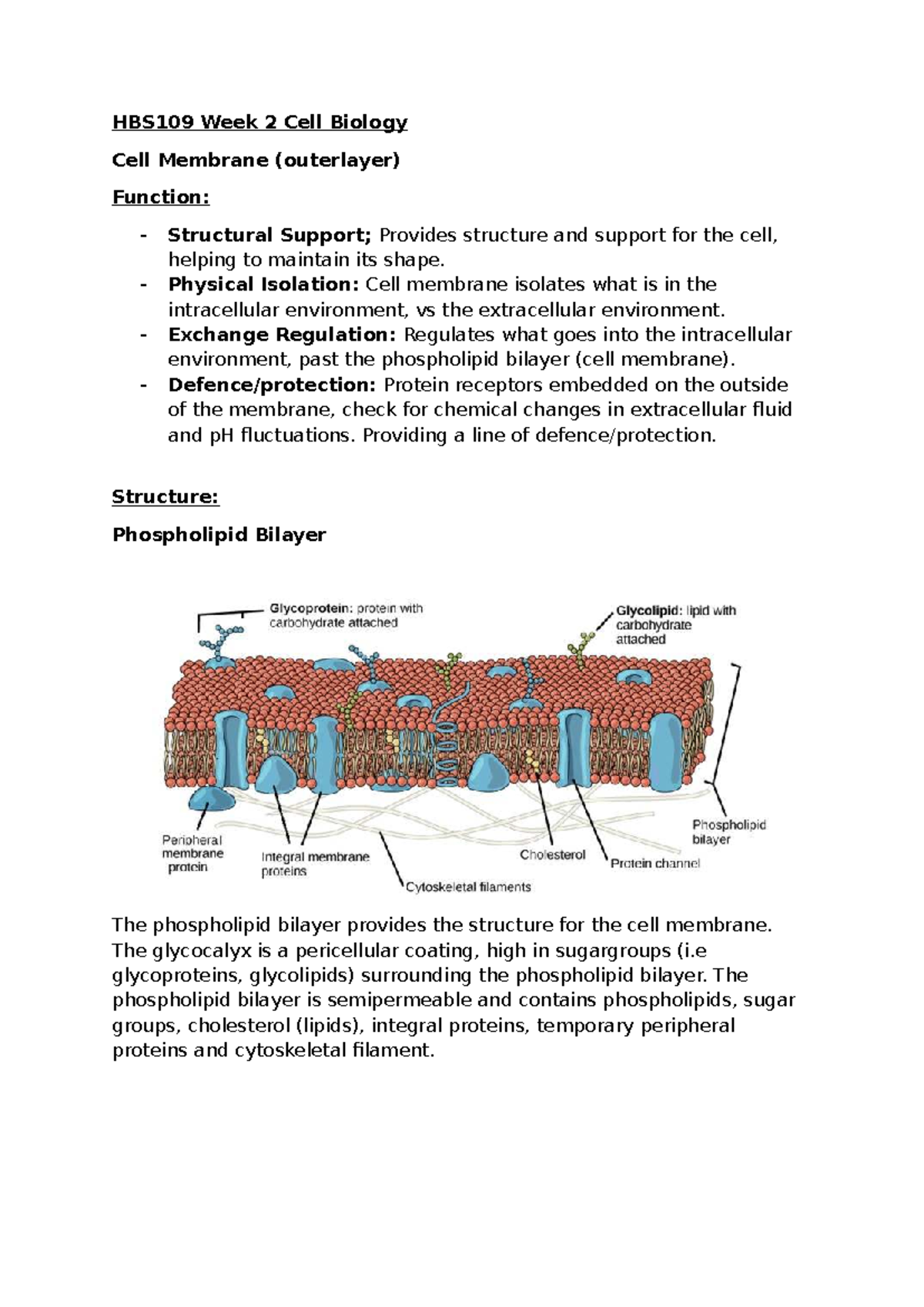 HBS109 Week 2 Lecture Notes: Cell Biology & Membrane Functions - Studocu