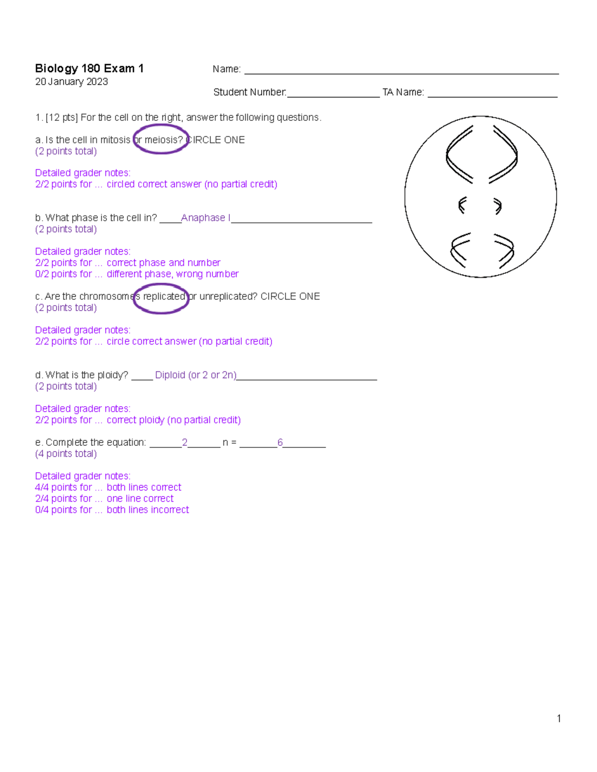 Biol 180 WIN 2023 Exam 1 Answer Key and Grading Criteria - Studocu