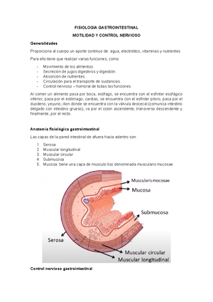 Pronefros Mesonefros Y Metanefros - La embriogénesis renal humana se ...