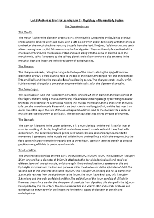 Unit 8 Assignment C sajbfjf - PP3SC - Reading - Studocu