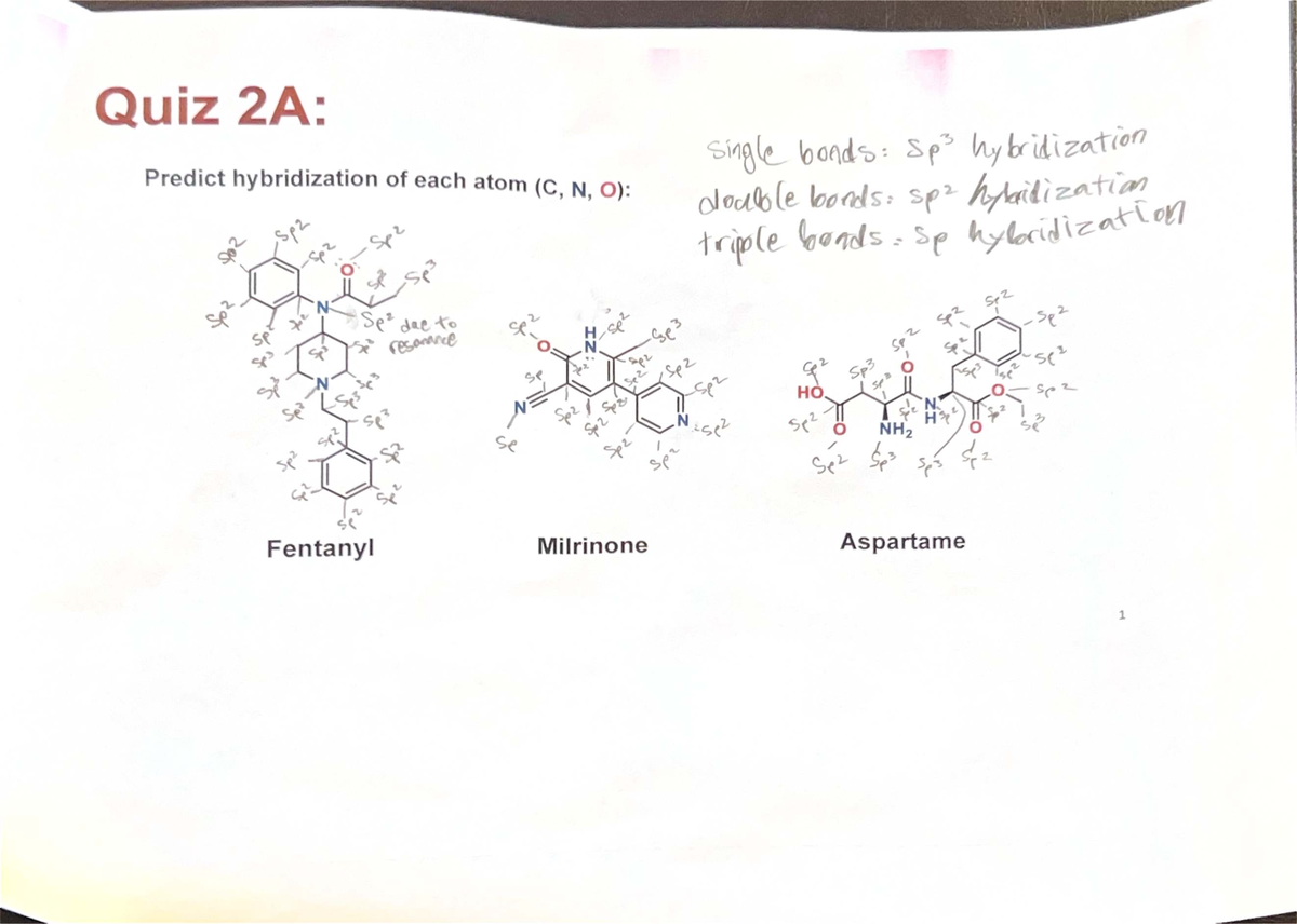 Ochem Quiz 2: Hybridization and Functional Groups Analysis - Studocu