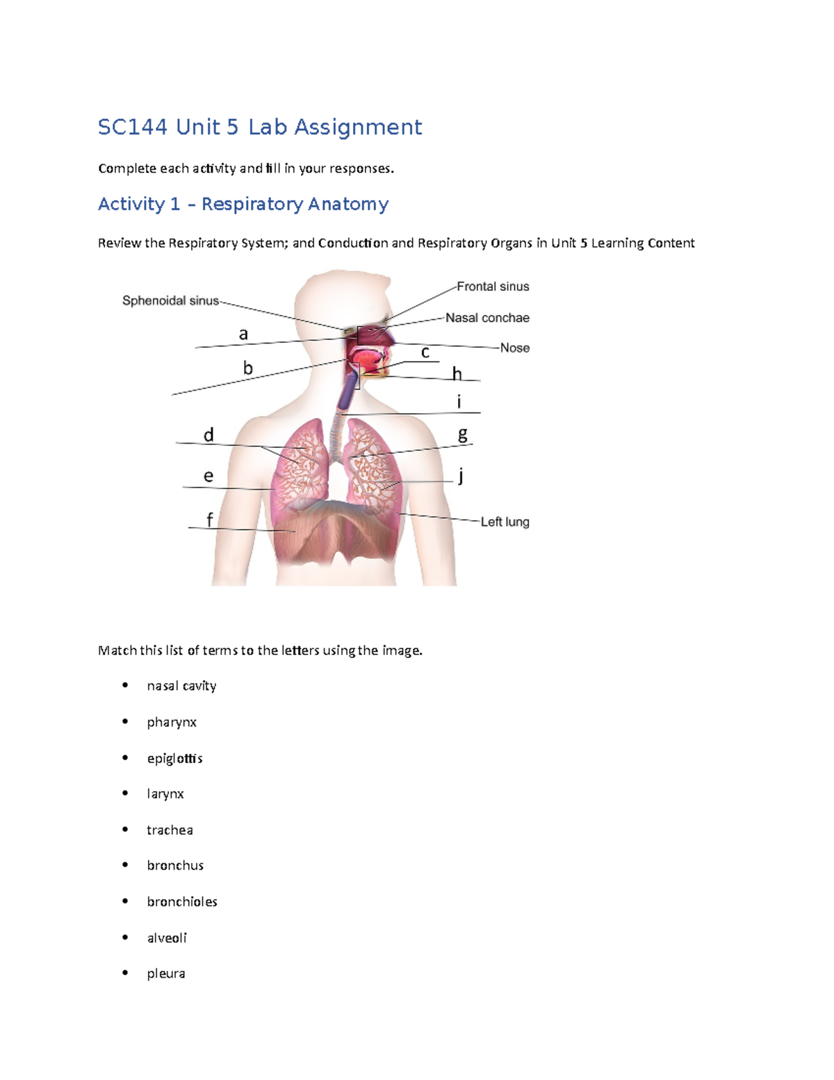 Anatomy and Physiology Unit 5 Lab Assignment - SC144 Unit 5 Lab Assignment Complete each ...