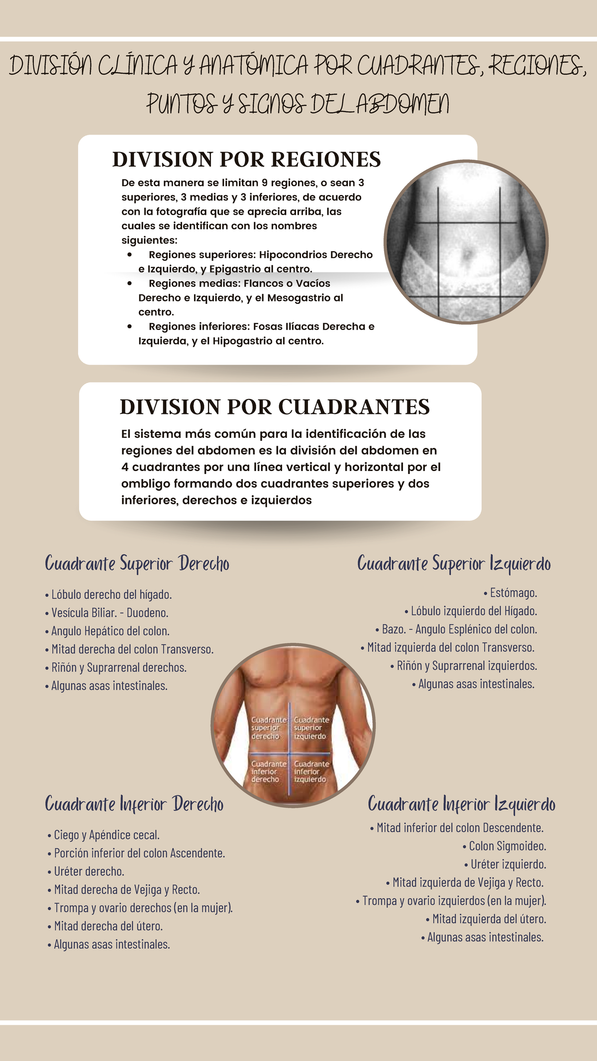8.Resumen de división clínica y anatómica por cuadrantes, regiones ...