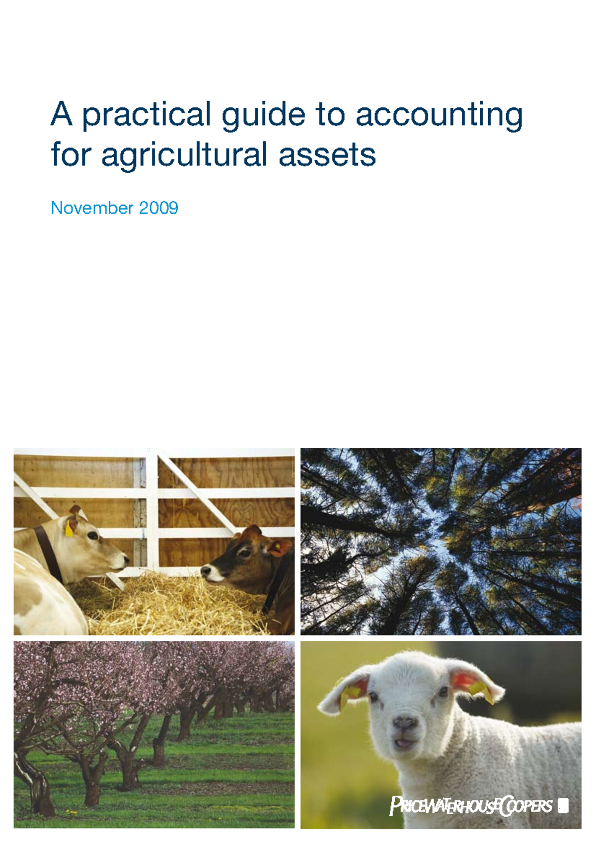 Accounting for agricultural assets - A practical guide to accounting ...