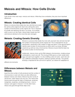 Kassim Jah - Protein Synthesis and Codons Practice Worksheet - Protein Synthesis and Codons ...