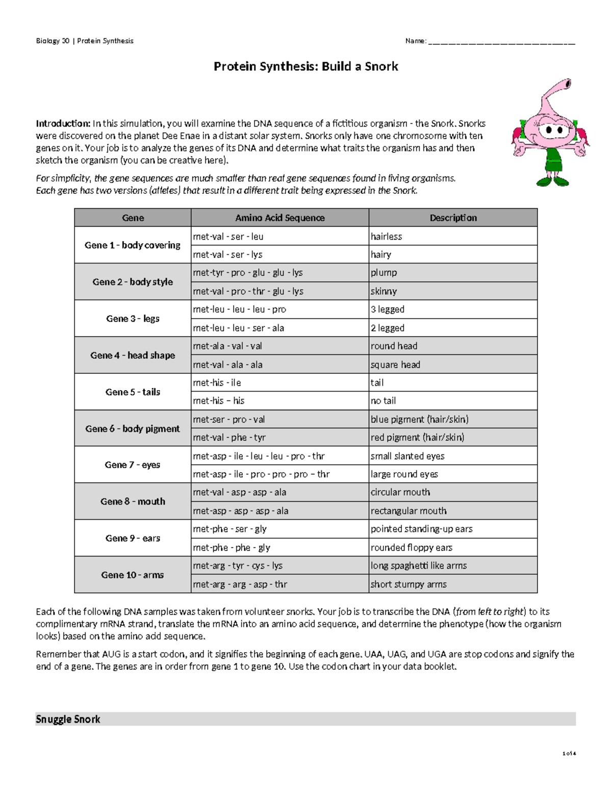 DNA3 Snork Activity Ver C (for D2L) - Biology 30 | Protein Synthesis ...