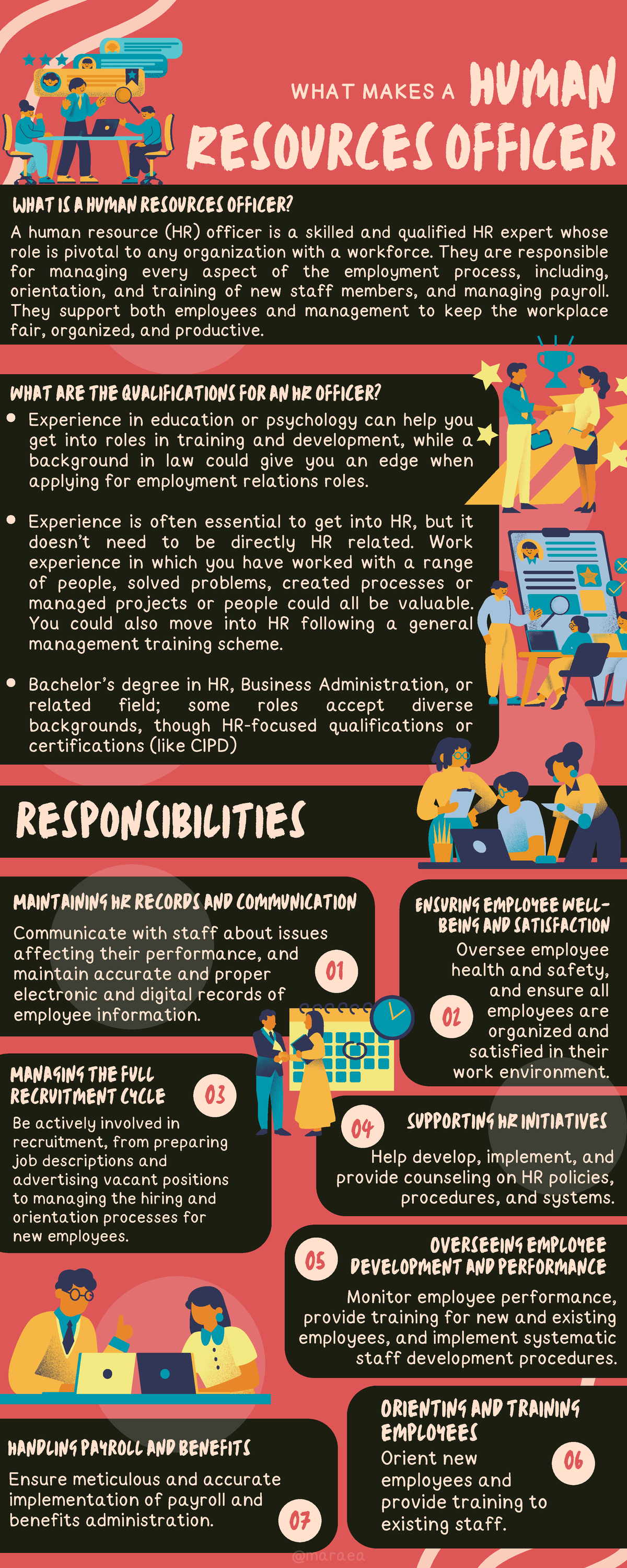 HR Officer Overview: Roles, Qualifications, and Responsibilities - Studocu