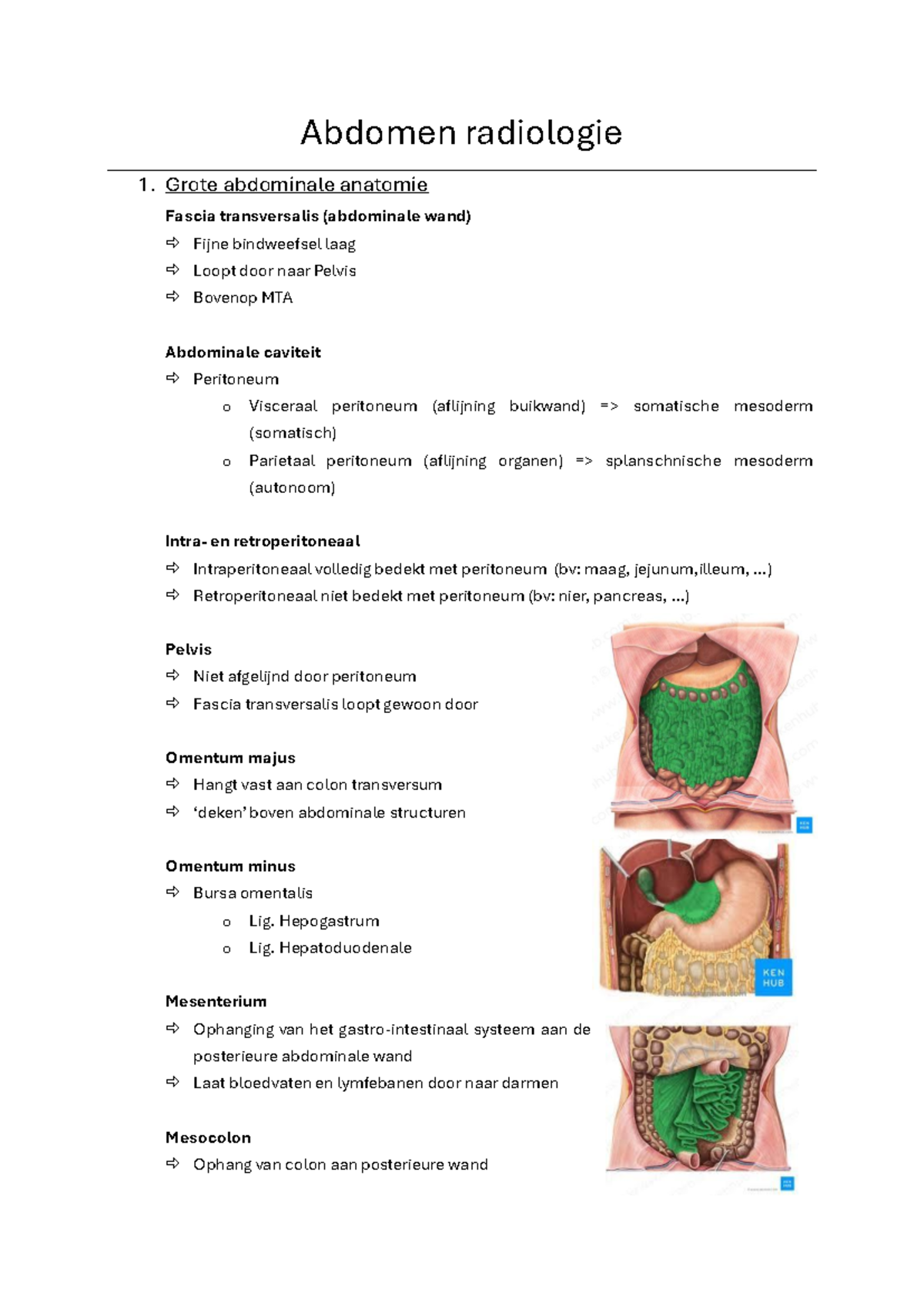 Abdomen Radiologie 1: Anatomie en Indeling van de Abdominale Structuren ...