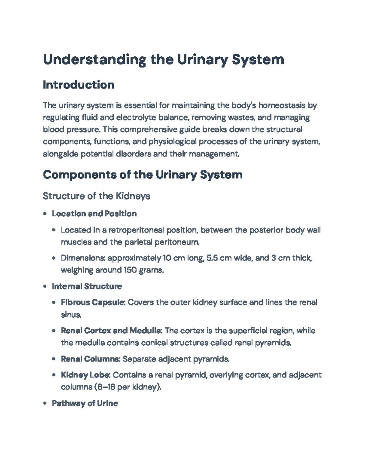 Urinary System Overview: Structure, Functions, and Disorders - Understanding the Urinary System ...