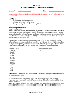 Drosophila Lab Report - Patterns of Inheritance for Eye Color and Wing ...
