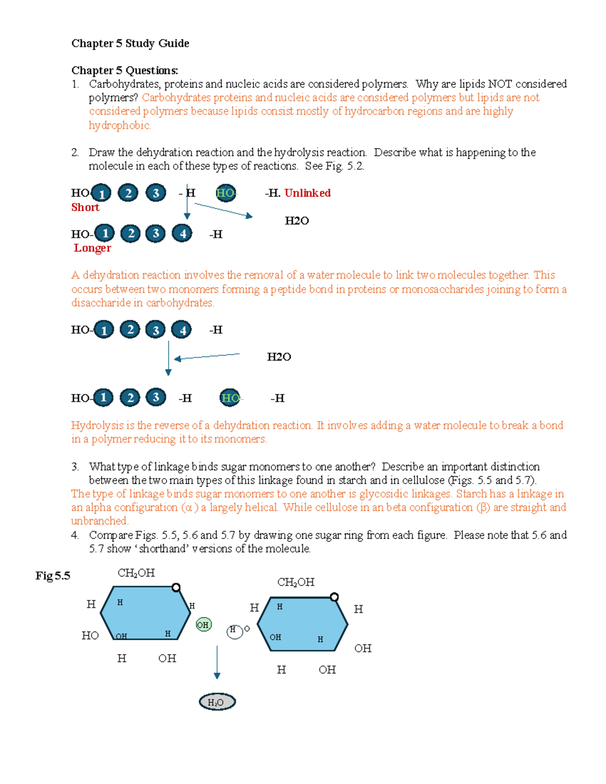 Chapter 5 Study Guide: Macromolecules & Their Functions (BIO101) - Studocu