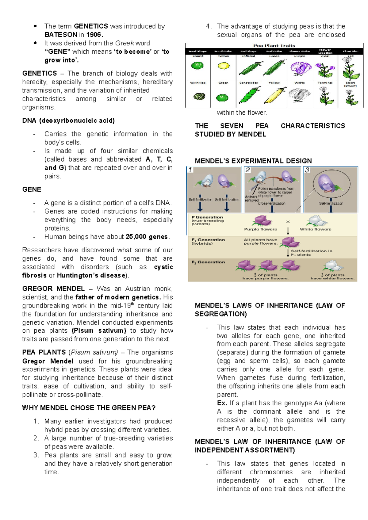 BIO 2 Genetics Final Exam Reviewer: Mendel's Pea Plant Experiments ...