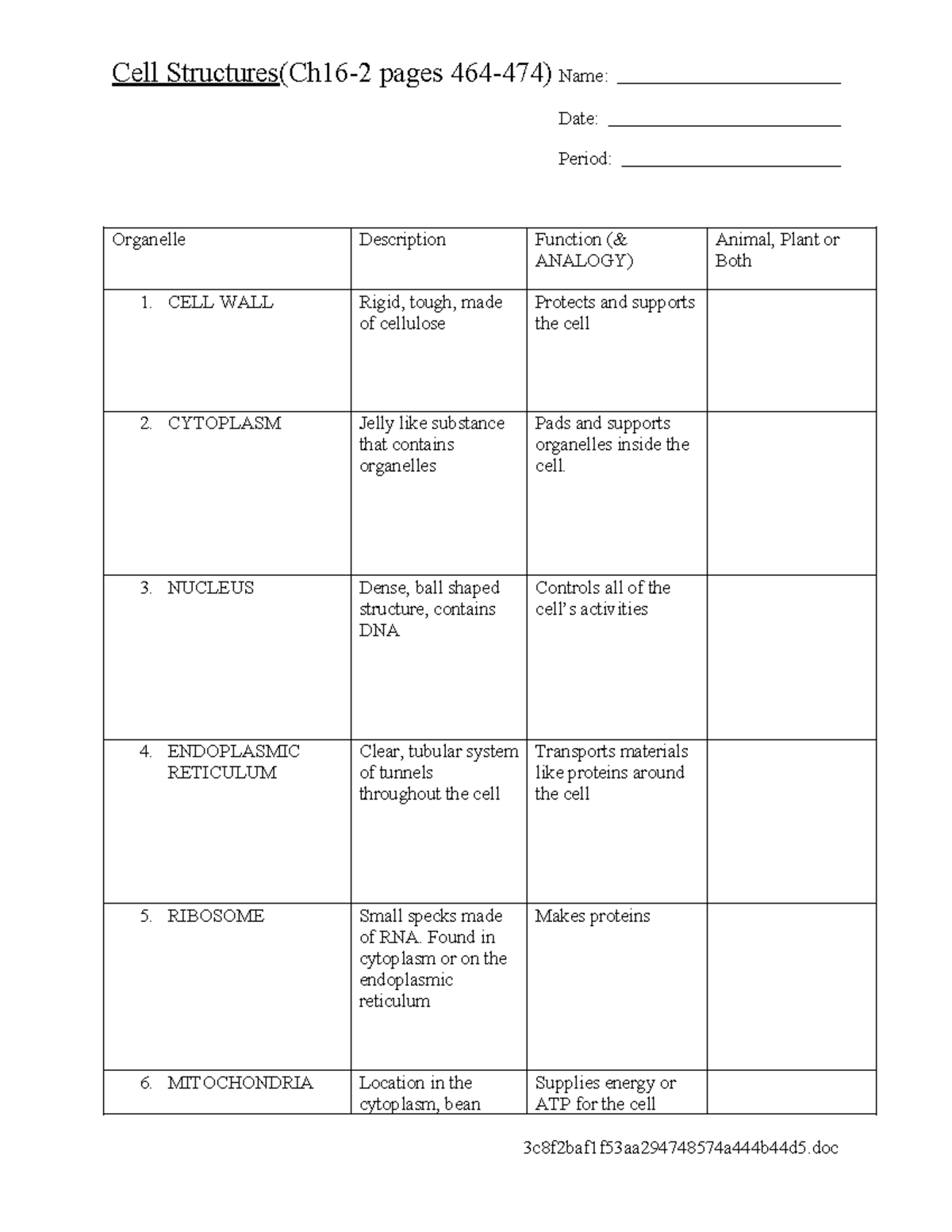 Cell Organelles Comparison Functions & Analogy Worksheet (BIO 101 ...